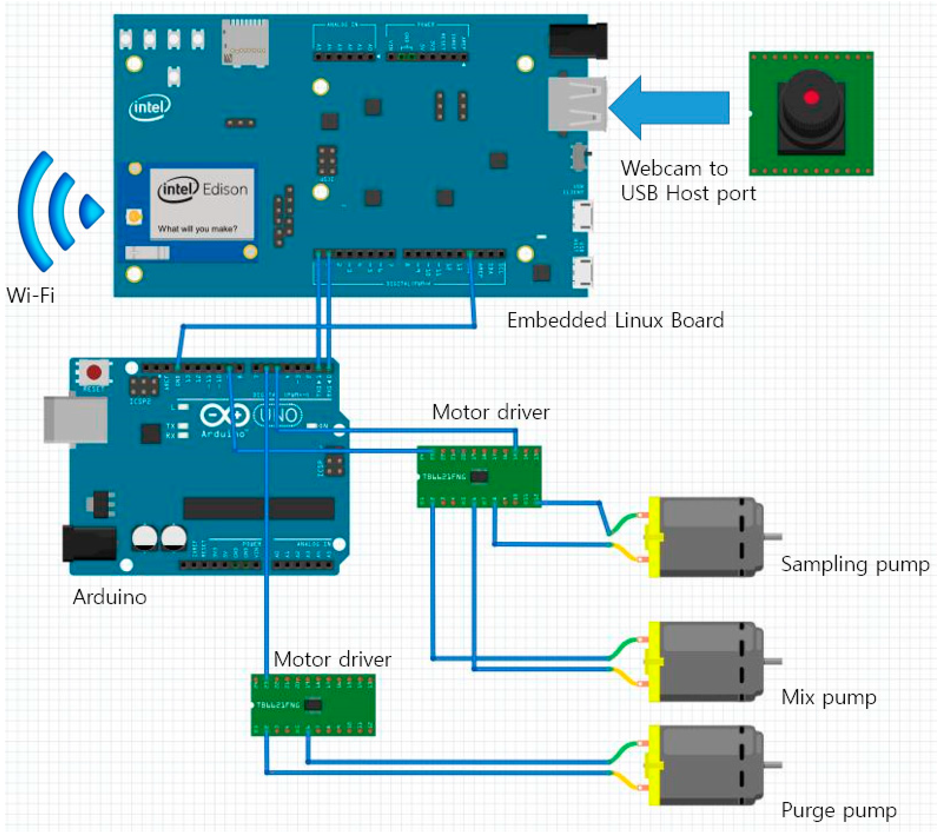 Sensor Node for Remote Monitoring of Waterborne Disease-Causing Bacteria
