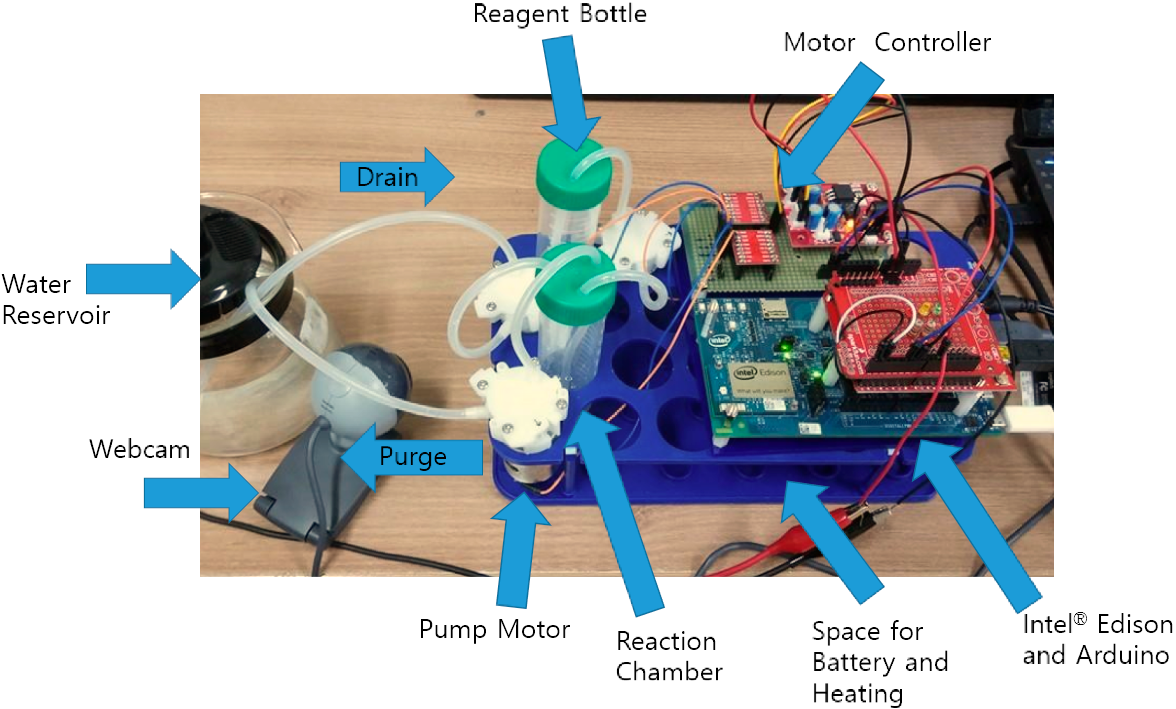 Sensor Node for Remote Monitoring of Waterborne Disease-Causing Bacteria