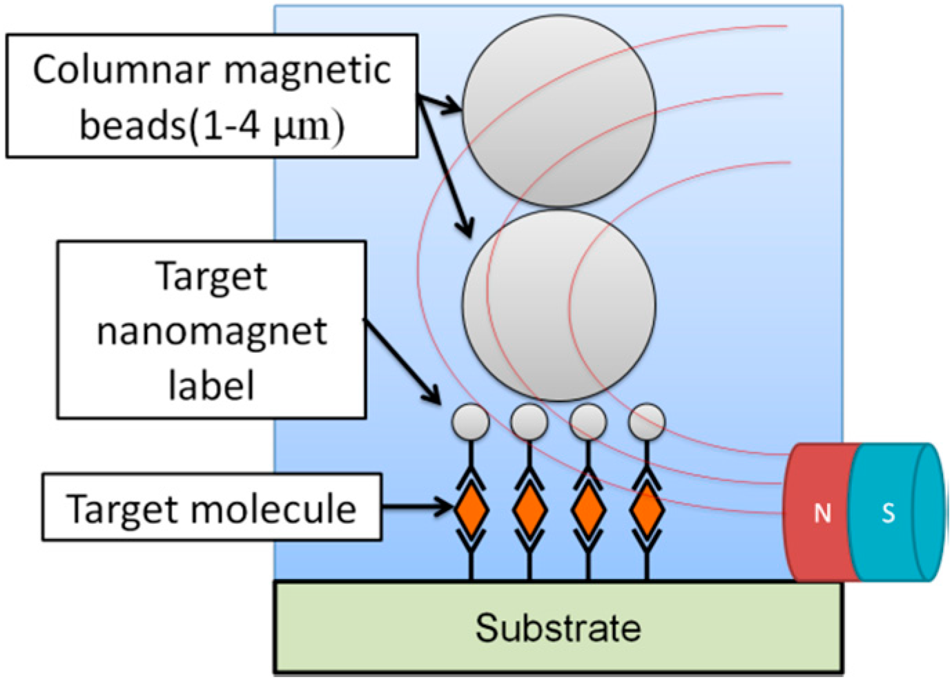 Magnetic-Particle-Sensing Based Diagnostic Protocols and Applications