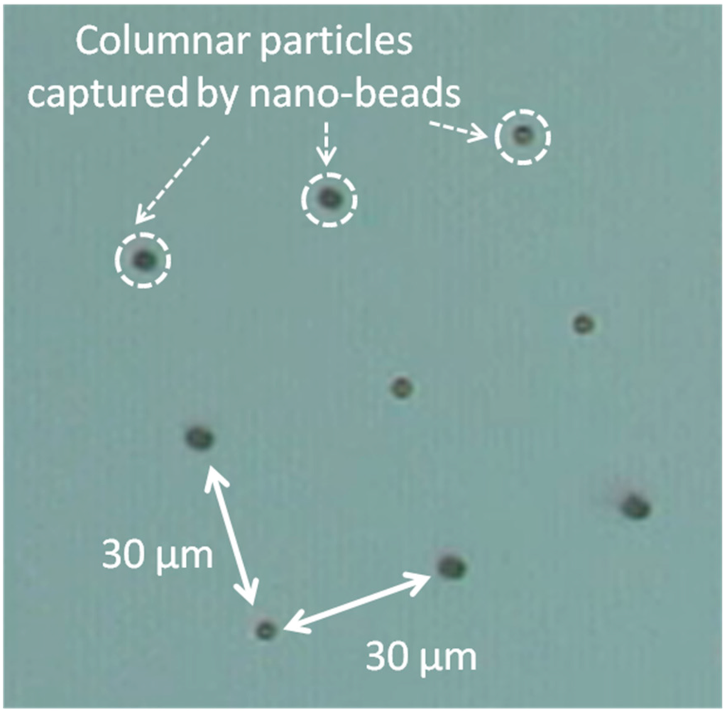 Magnetic-Particle-Sensing Based Diagnostic Protocols and Applications