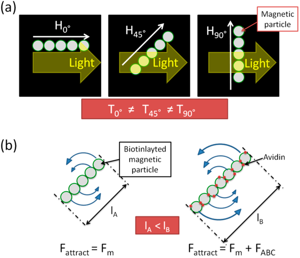 Magnetic-Particle-Sensing Based Diagnostic Protocols and Applications
