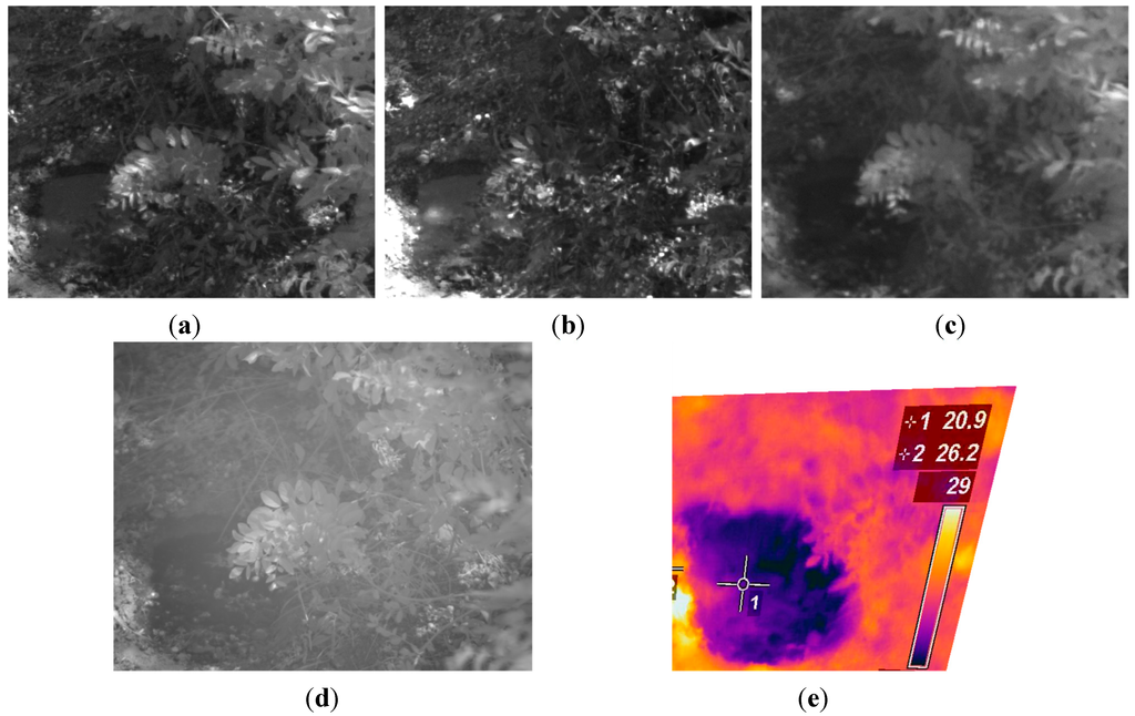 VIS-NIR, SWIR and LWIR Imagery for Estimation of Ground Bearing Capacity