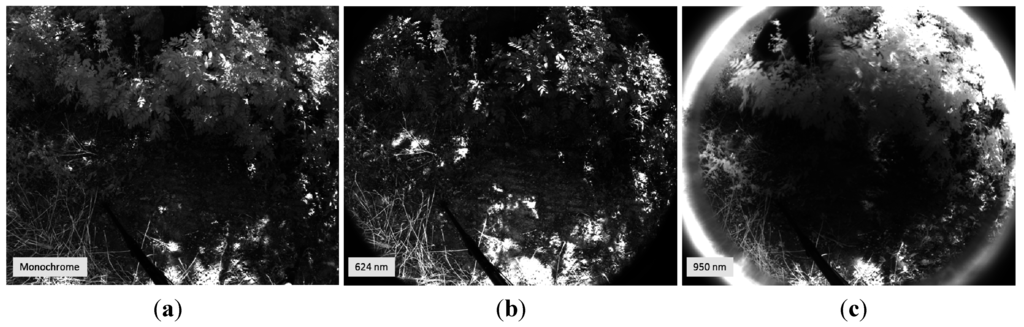 VIS-NIR, SWIR and LWIR Imagery for Estimation of Ground Bearing Capacity