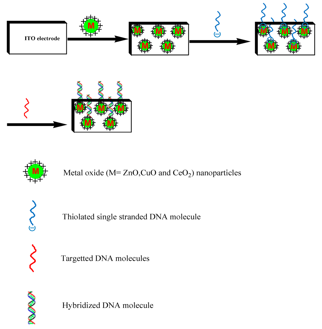 DNA-Based Nanobiosensors as an Emerging Platform for Detection of Disease