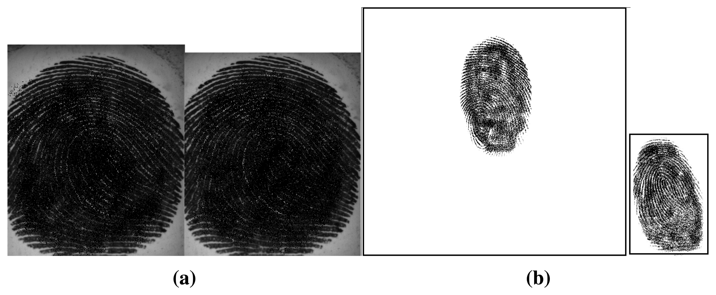 Fingerprint Liveness Detection in the Presence of Capable Intruders