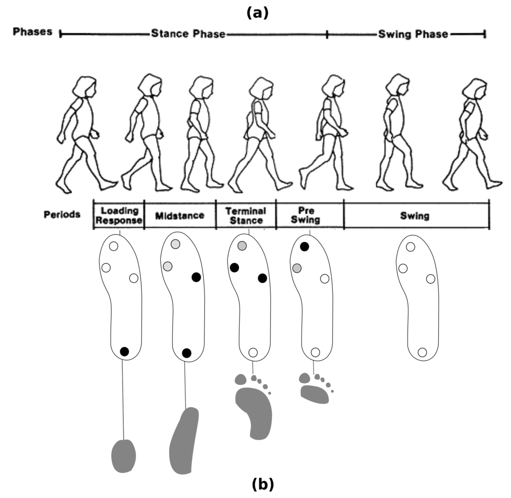 An Ambulatory System for Gait Monitoring Based on Wireless Sensorized ...