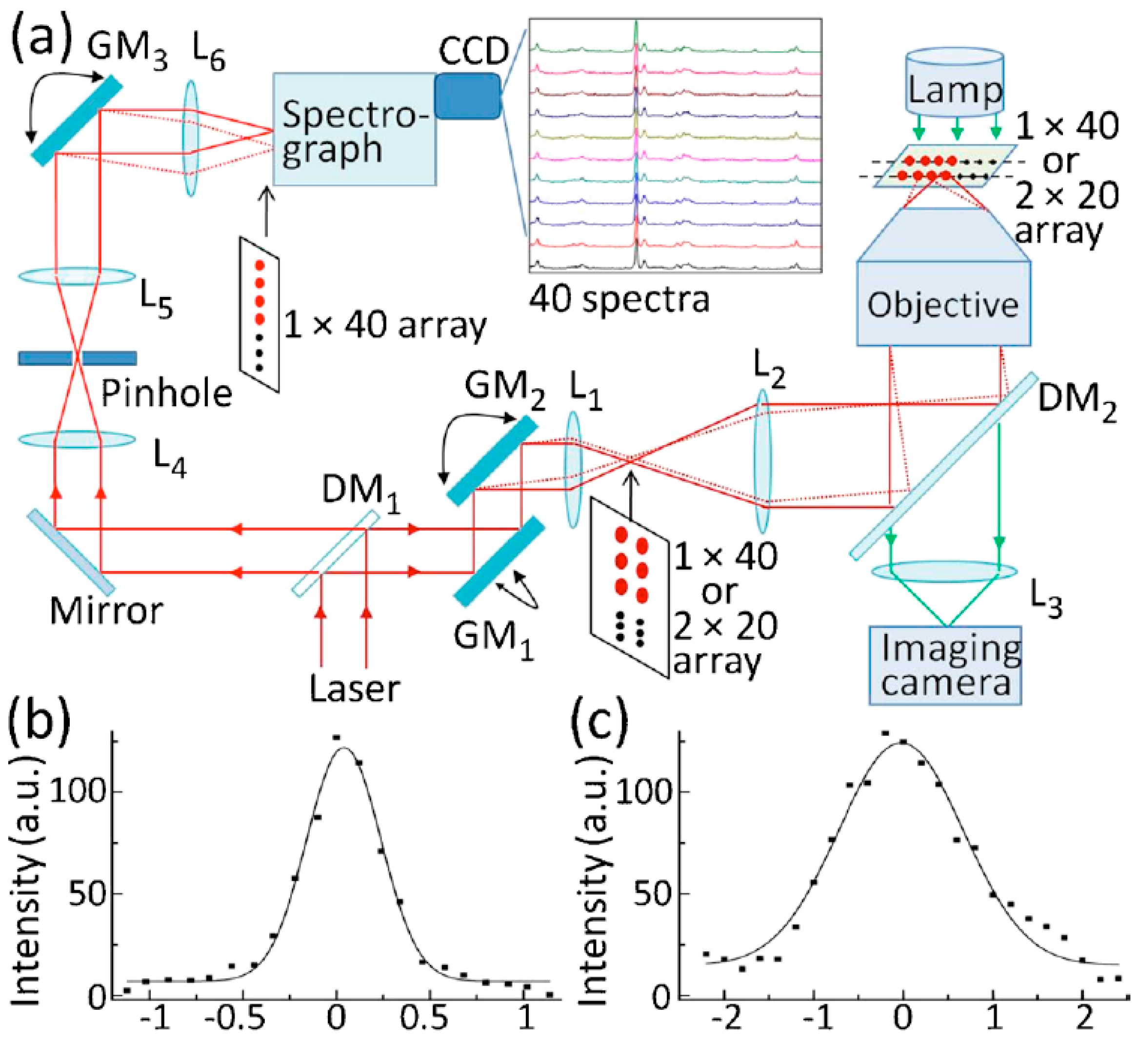 Raman Spectroscopy of Optically Trapped Single Biological Micro-Particles