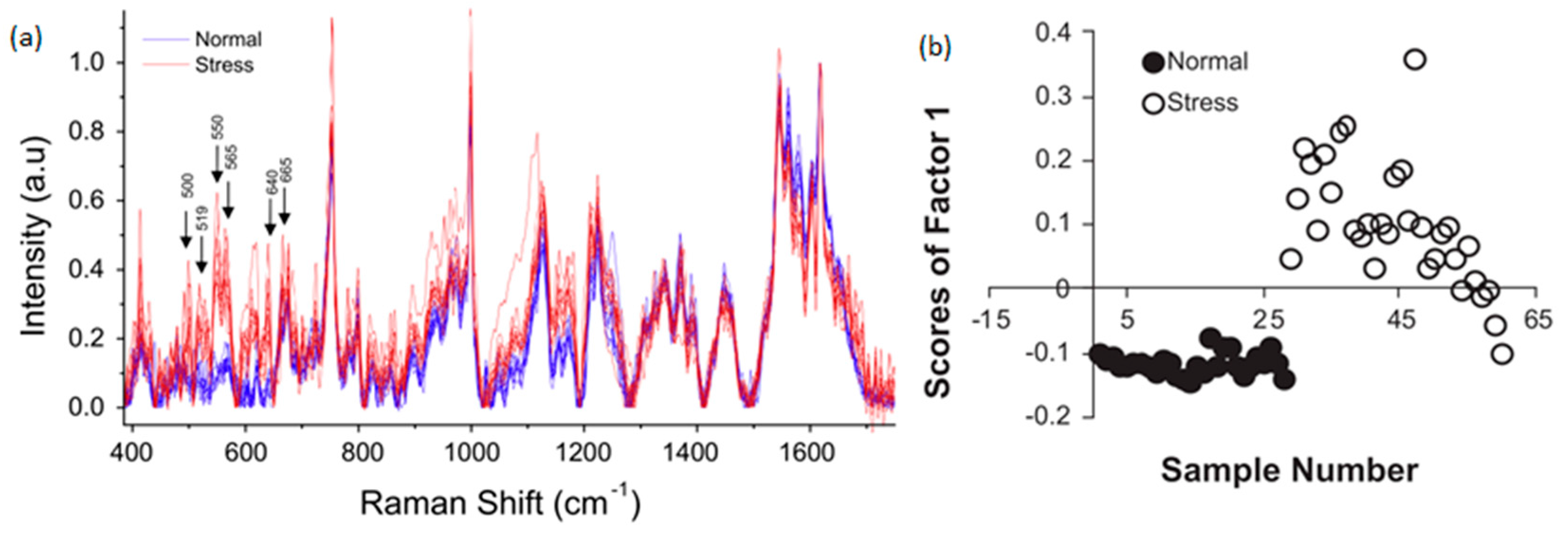 Raman Spectroscopy of Optically Trapped Single Biological Micro-Particles