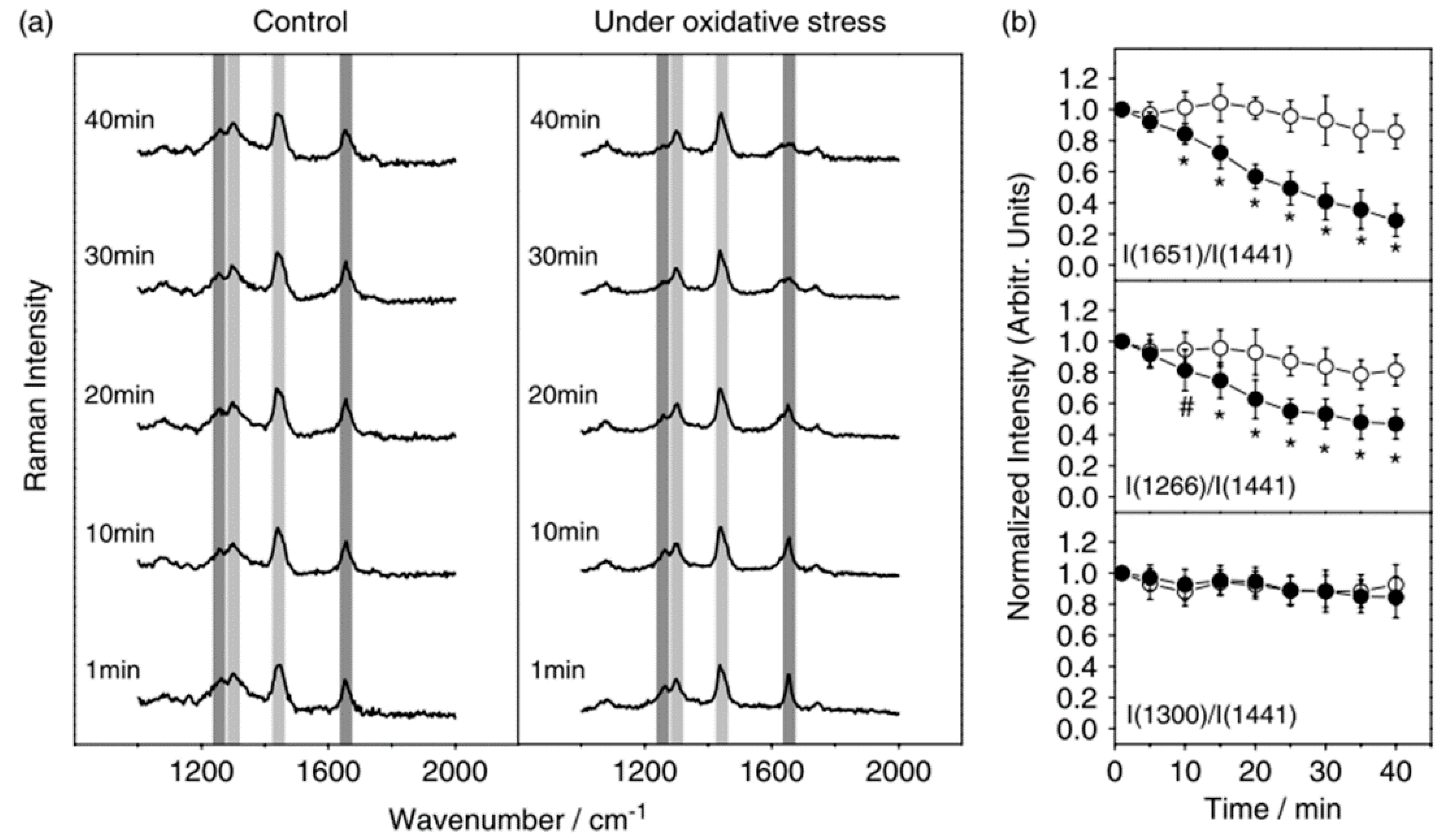 Raman Spectroscopy of Optically Trapped Single Biological Micro-Particles