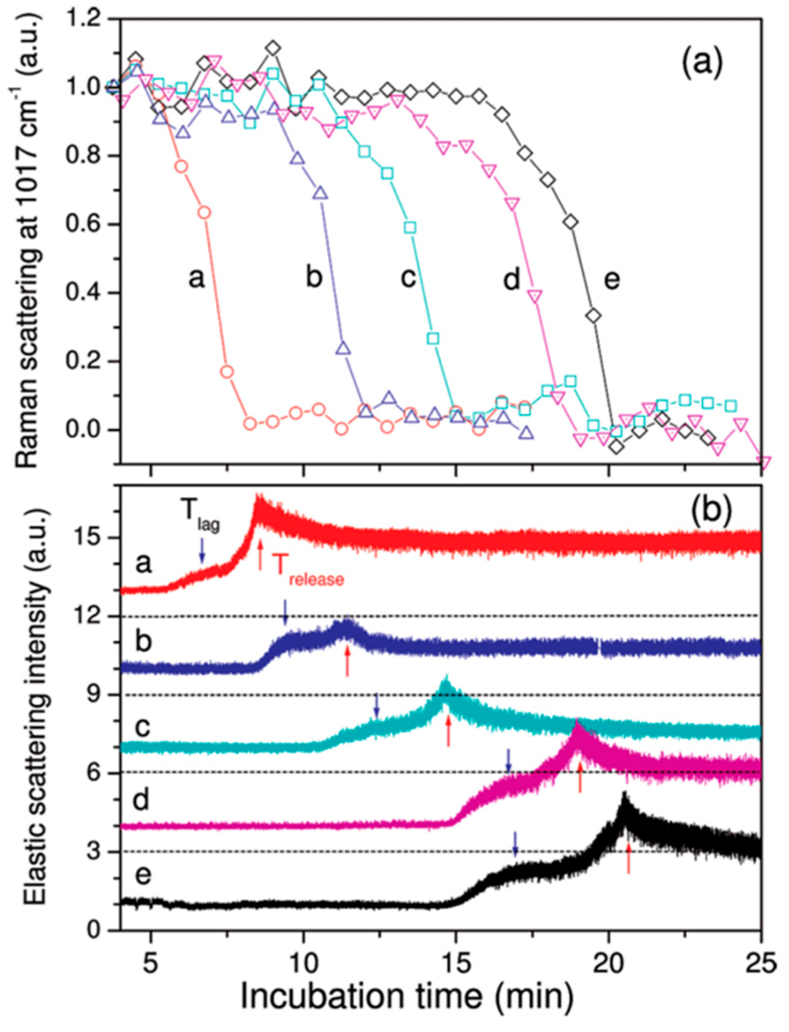 Raman Spectroscopy of Optically Trapped Single Biological Micro-Particles
