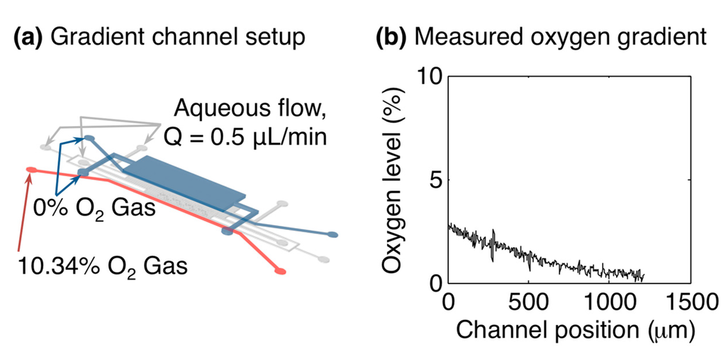 Designing a Microfluidic Device with Integrated Ratiometric Oxygen ...