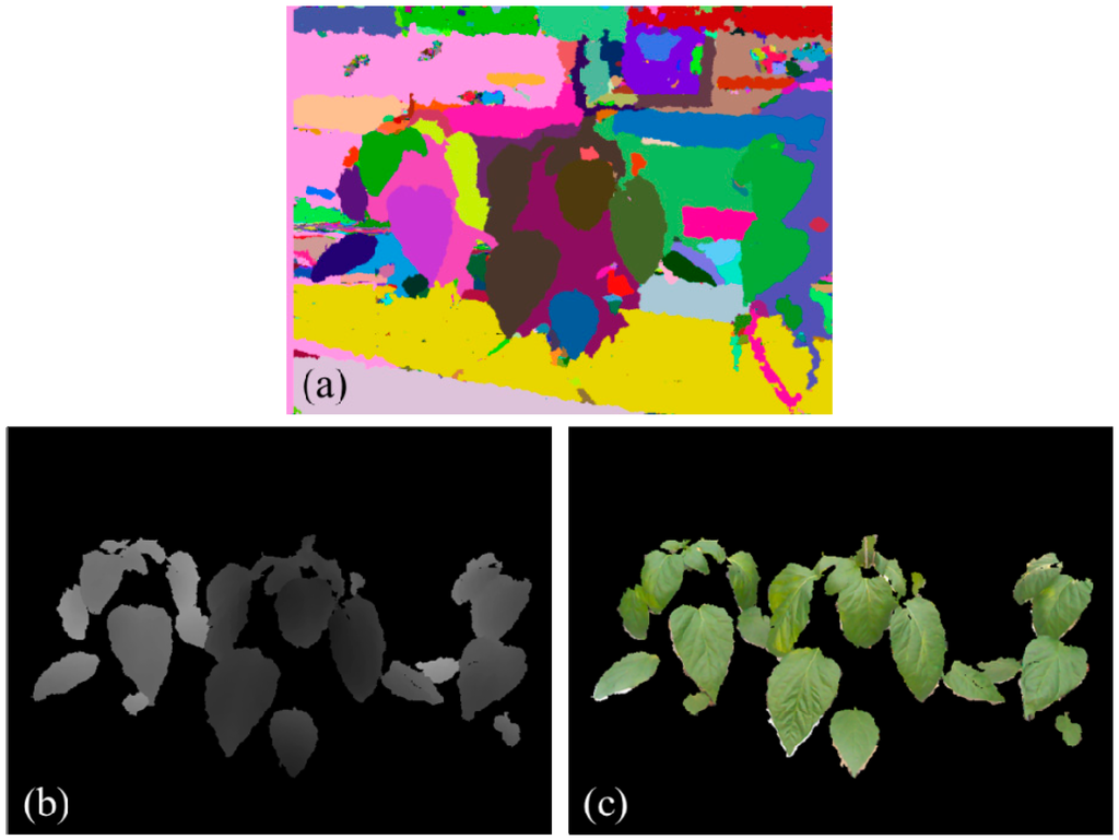 Sensors | Free Full-Text | In Situ 3D Segmentation of Individual Plant ...
