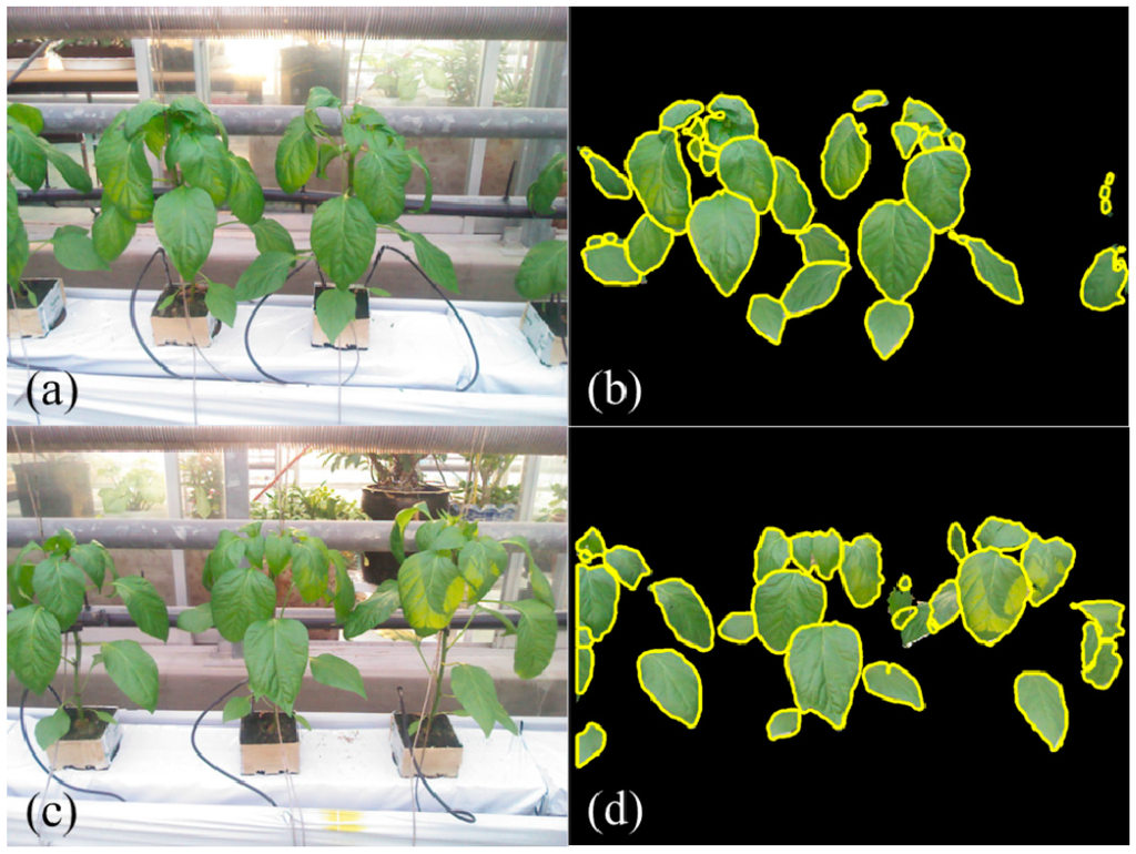 In Situ 3D Segmentation of Individual Plant Leaves Using a RGB-D Camera ...