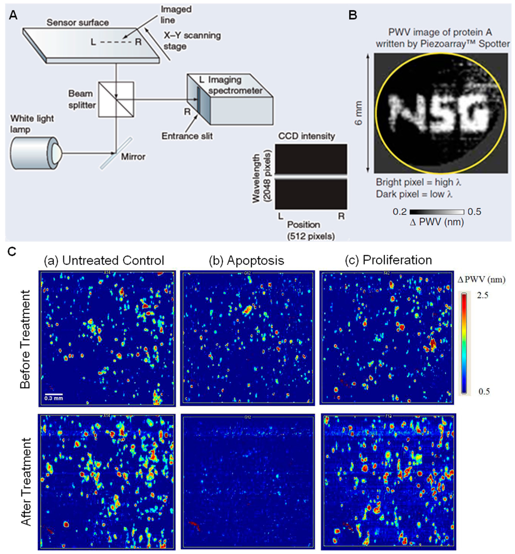 Label-Free Biosensor Imaging on Photonic Crystal Surfaces