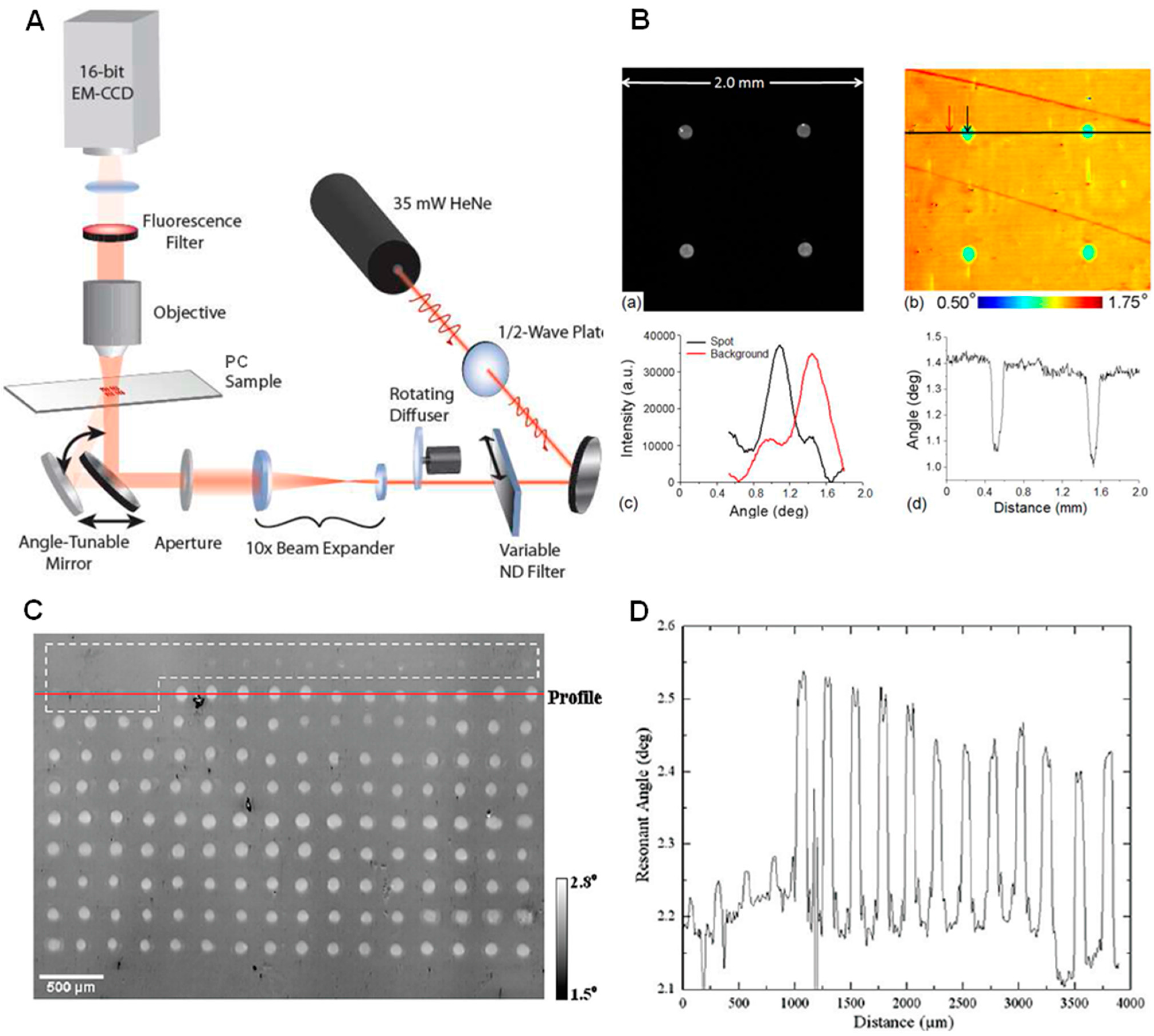 Sensors | Free Full-Text | Label-Free Biosensor Imaging on Photonic ...