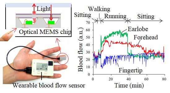 Sensors | Free Full-Text | Detection of Site-Specific Blood Flow ...