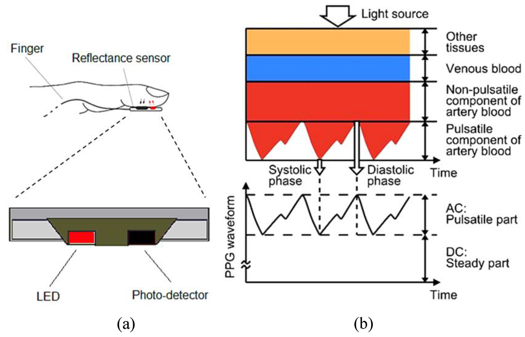 Sensors | Free Full-Text | A Multi-Channel Opto-Electronic Sensor to ...