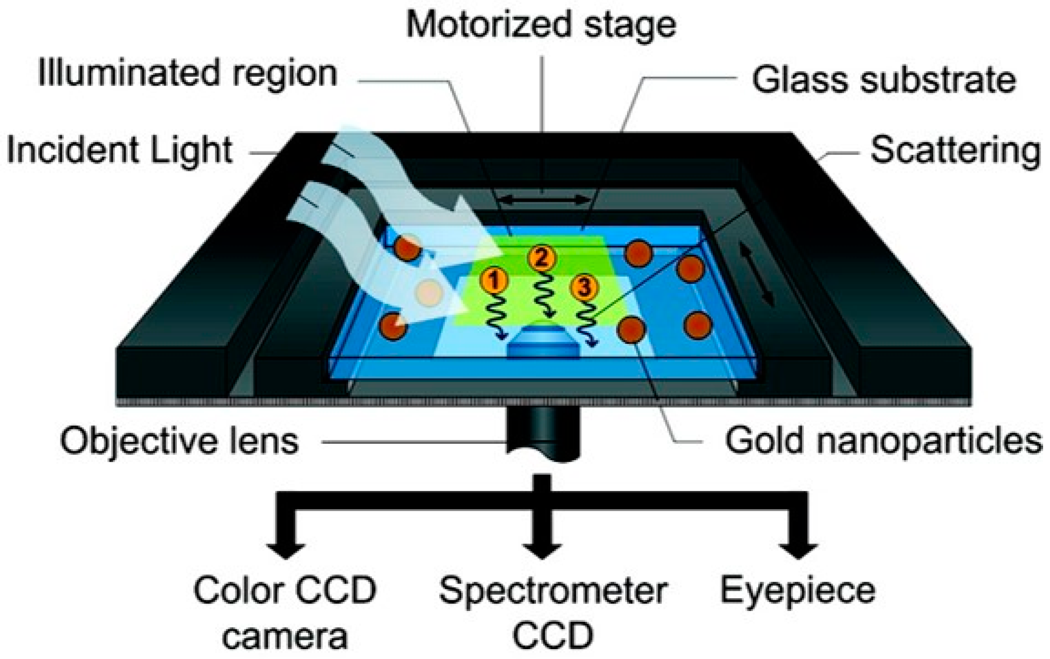 Single Nanoparticle Plasmonic Sensors