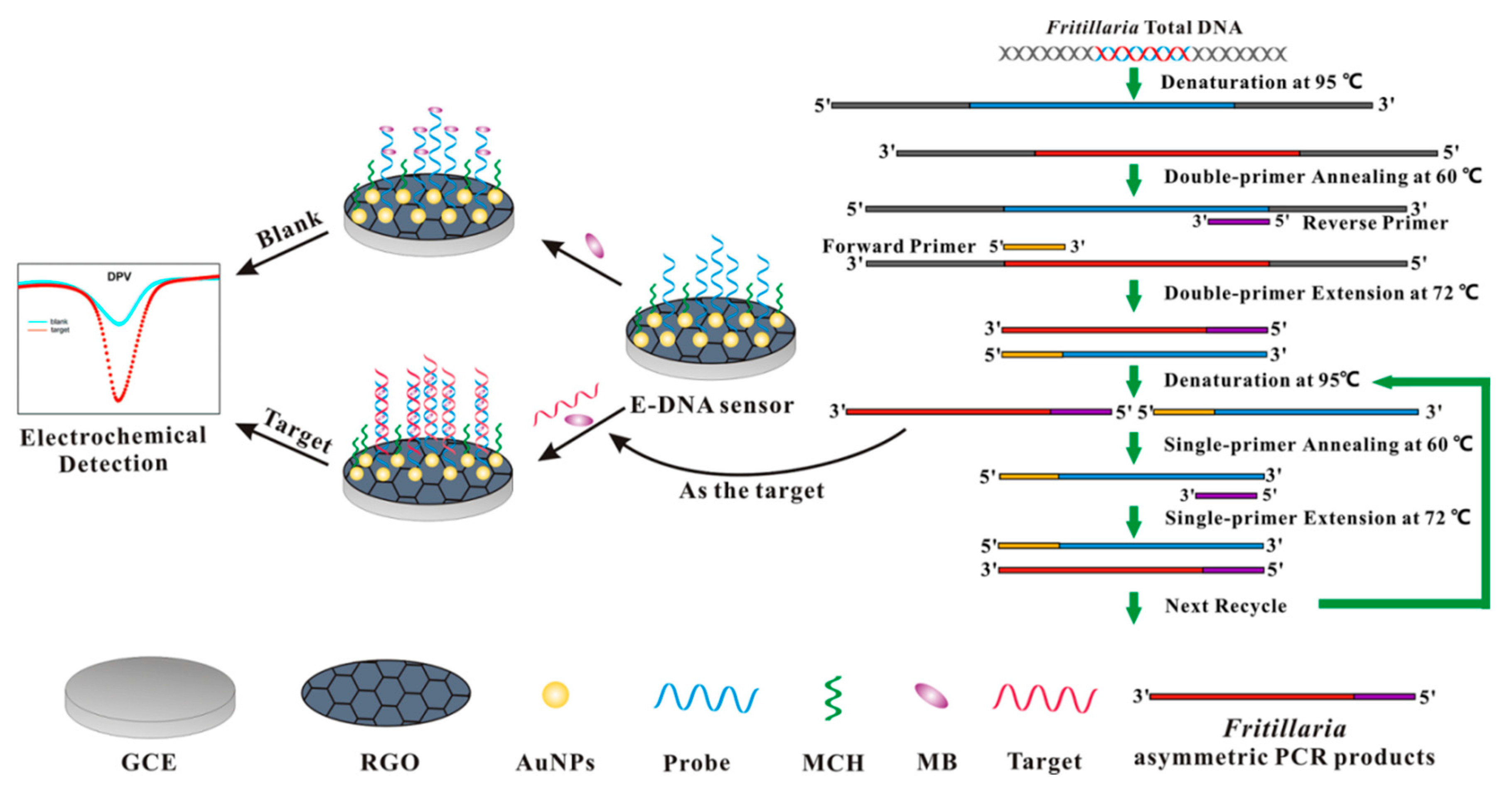 Identification of Chinese Herbs Using a Sequencing-Free Nanostructured ...