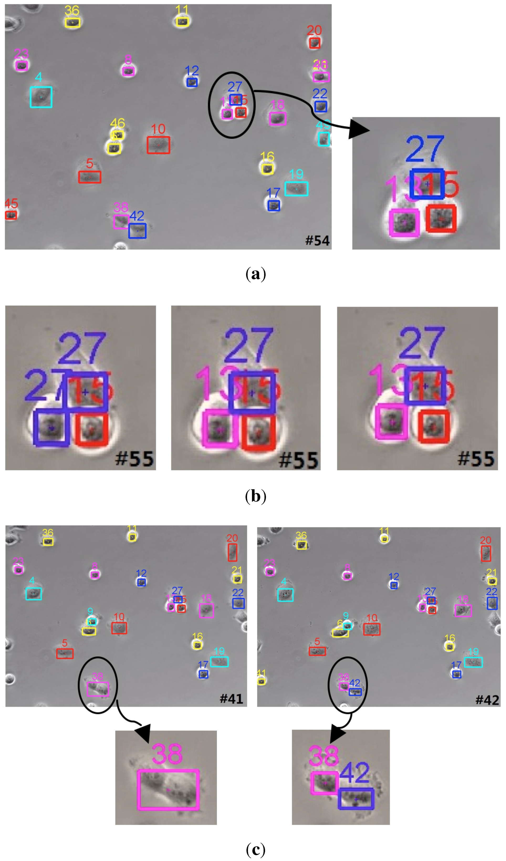 Sensors Free Full Text Tracking Multiple Video Targets With An Improved Gm Phd Tracker