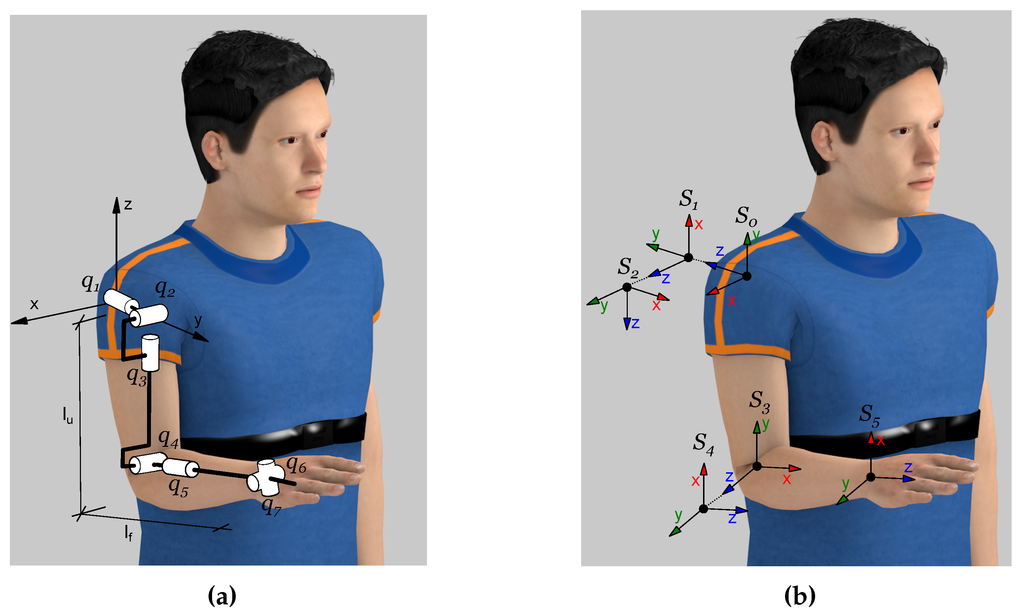 Estimation of Human Arm Joints Using Two Wireless Sensors in Robotic ...