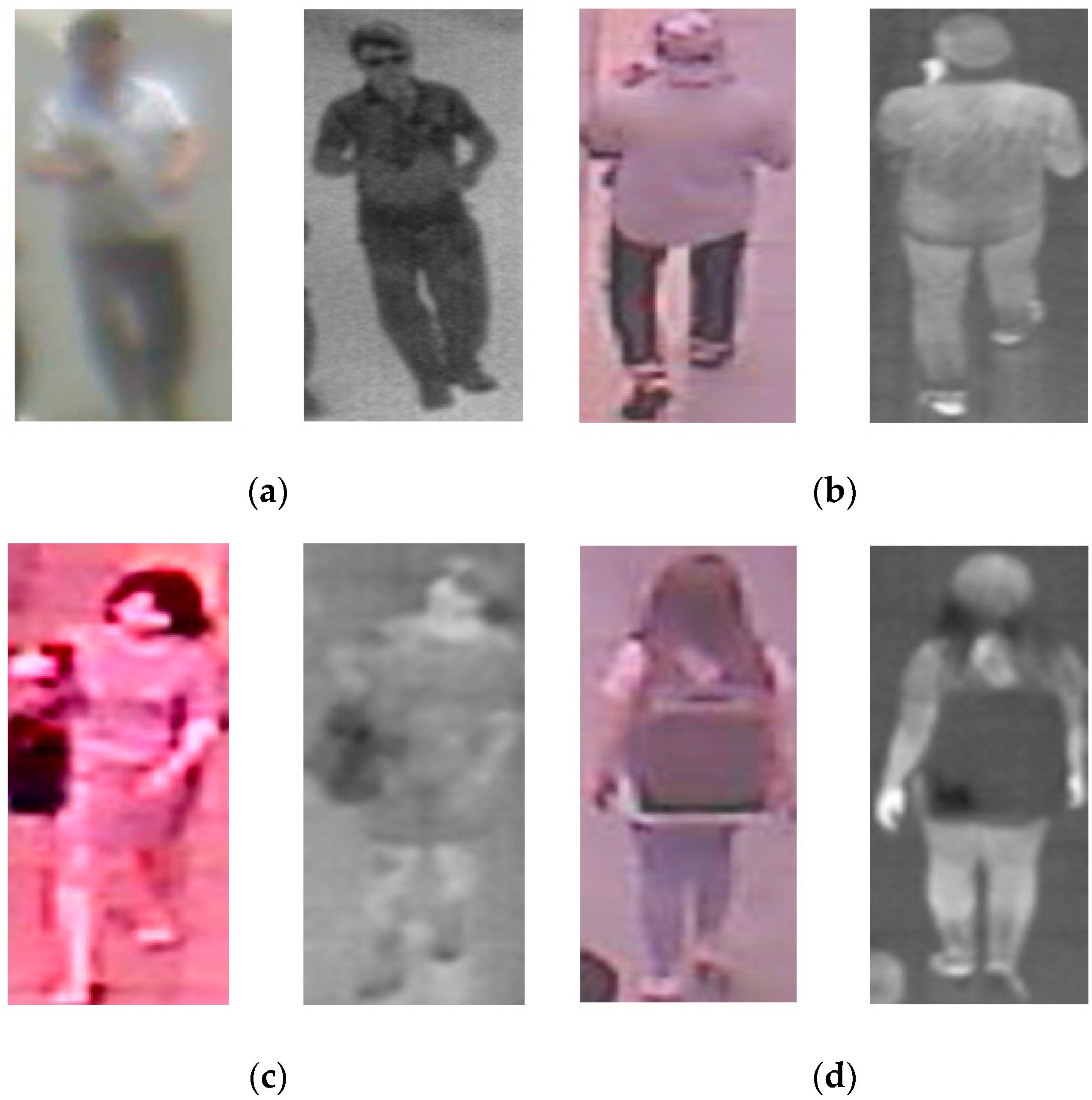 Body-Based Gender Recognition Using Images from Visible and Thermal Cameras
