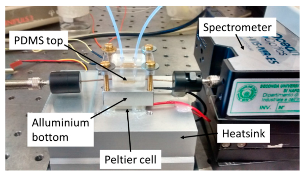 A Complete Optical Sensor System Based on a POF-SPR Platform and a ...