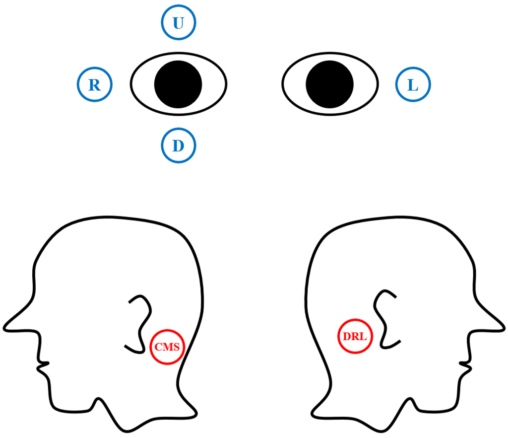 Removing the Interdependency between Horizontal and Vertical Eye ...