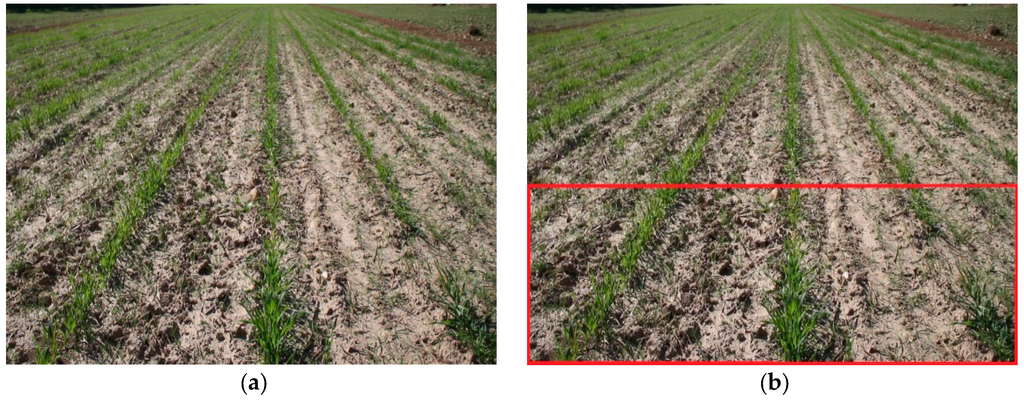 Merge Fuzzy Visual Servoing and GPS-Based Planning to Obtain a Proper Navigation Behavior for a ...