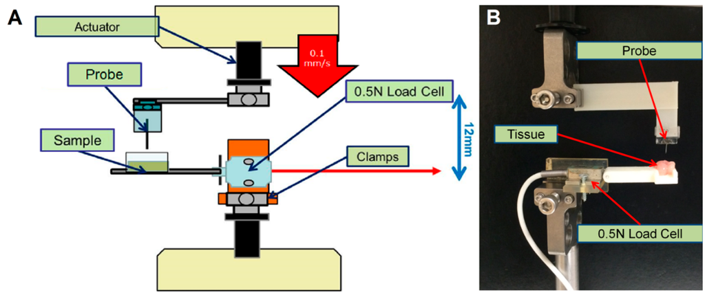 Modeling the Insertion Mechanics of Flexible Neural Probes Coated with ...