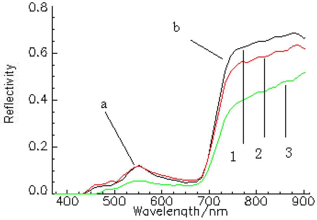 Leaf Chlorophyll Content Estimation of Winter Wheat Based on Visible ...