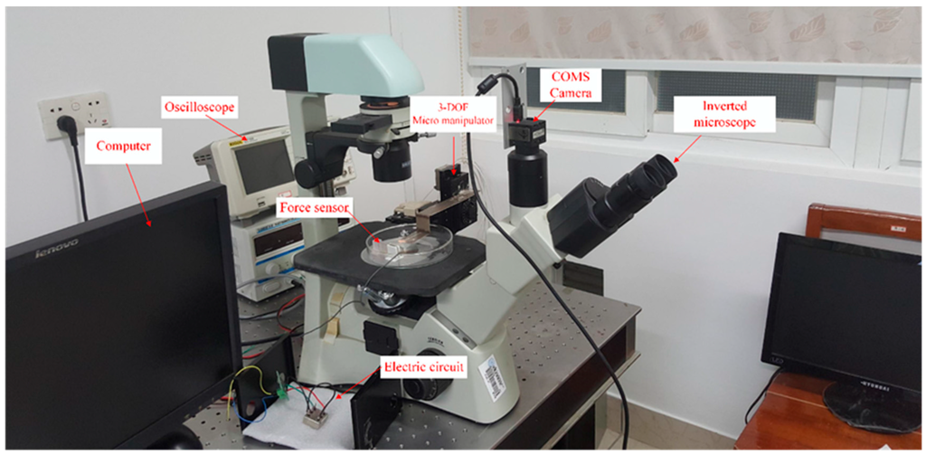 Development of a Microforce Sensor and Its Array Platform for Robotic Cell Microinjection Force ...