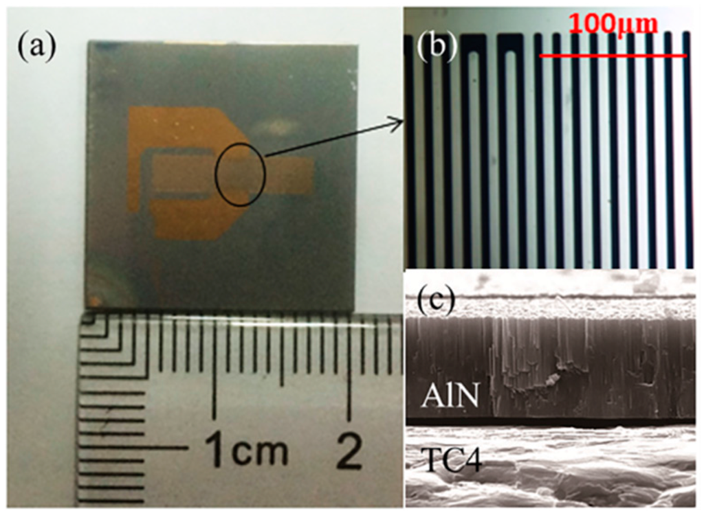 The Characterization of Surface Acoustic Wave Devices Based on AlN ...