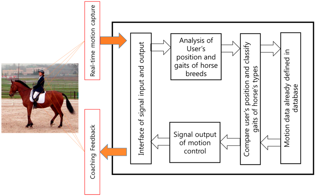 Classification of Horse Gaits Using FCM-Based Neuro-Fuzzy Classifier from the Transformed Data ...
