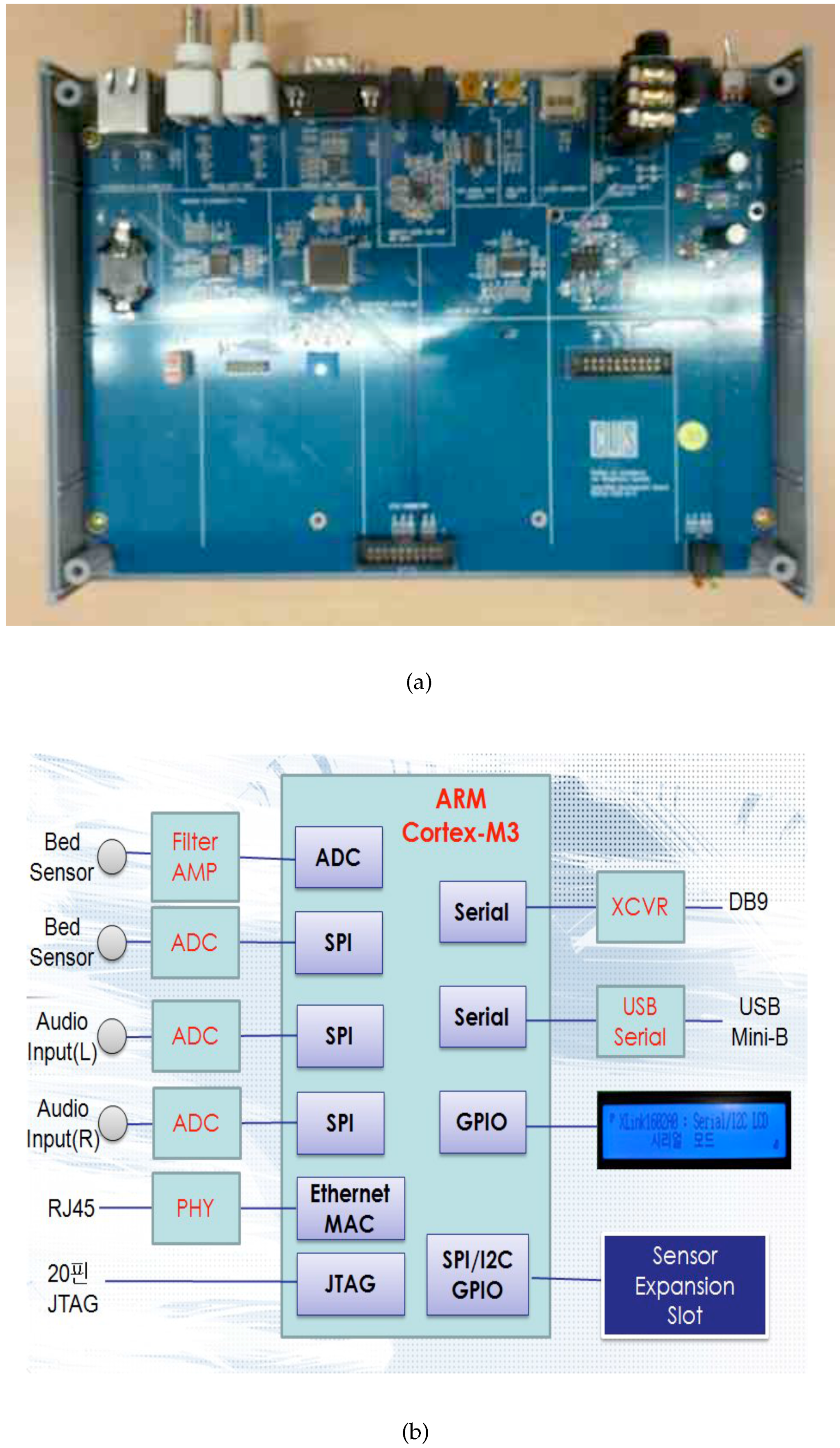 Sleep Monitoring Based on a Tri-Axial Accelerometer and a Pressure Sensor
