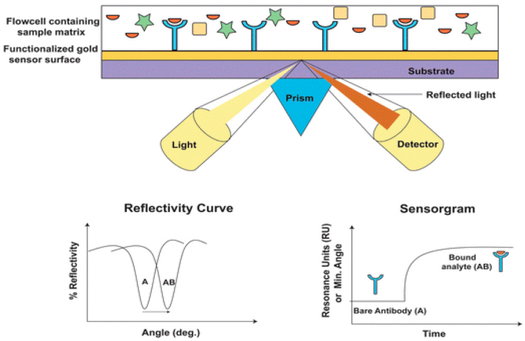 SPR and SPR Imaging: Recent Trends in Developing Nanodevices for ...