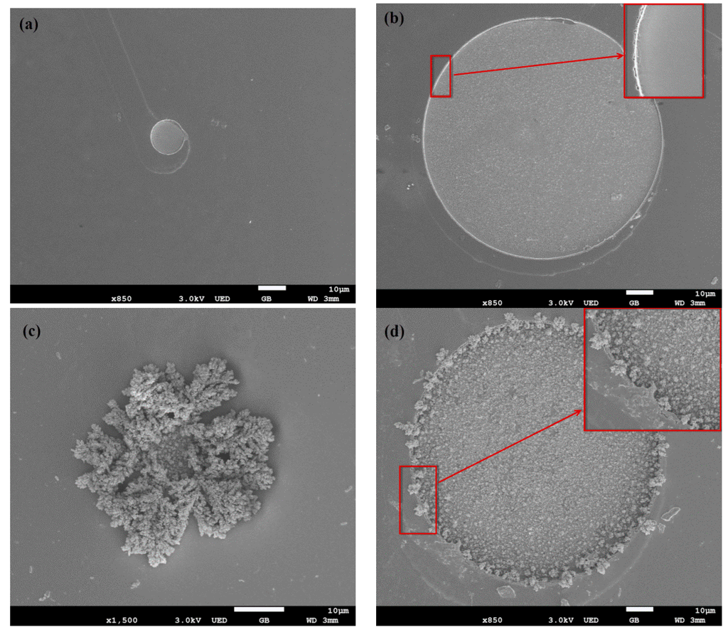 Design, Fabrication, Simulation and Characterization of a Novel Dual ...