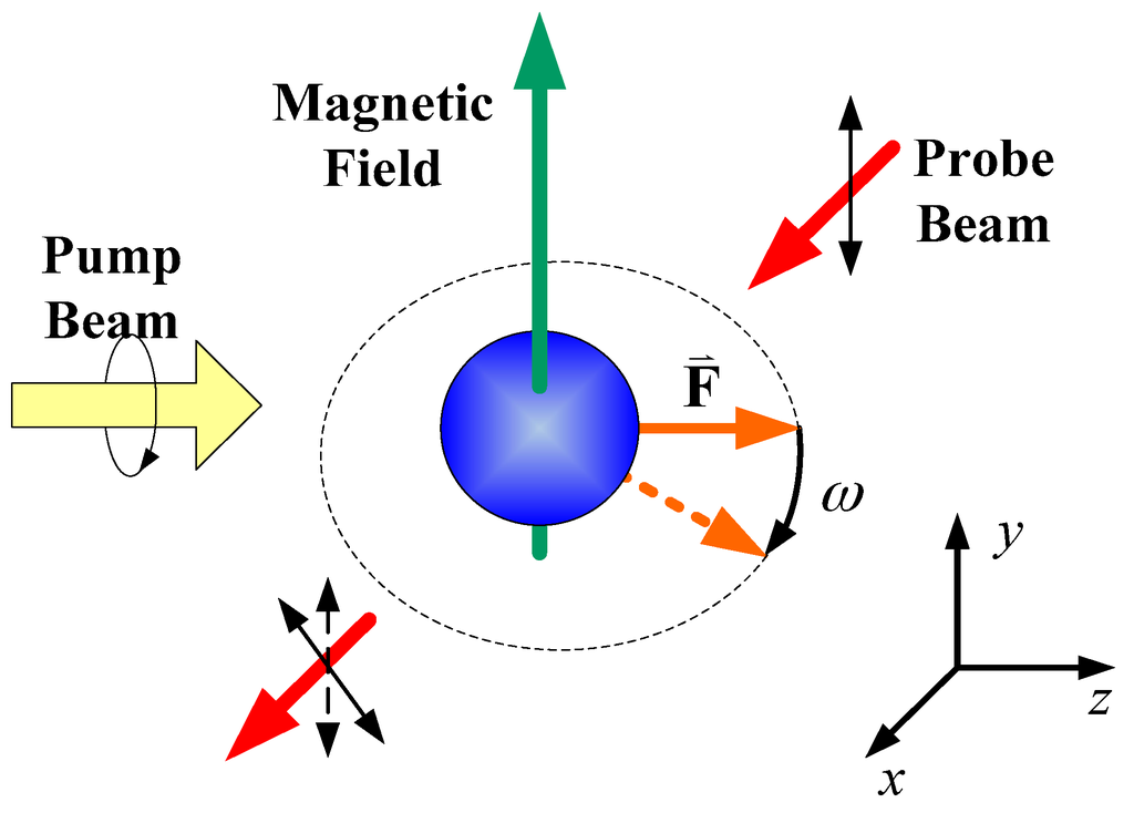 Measurement Sensitivity Improvement of All-Optical Atomic Spin ...