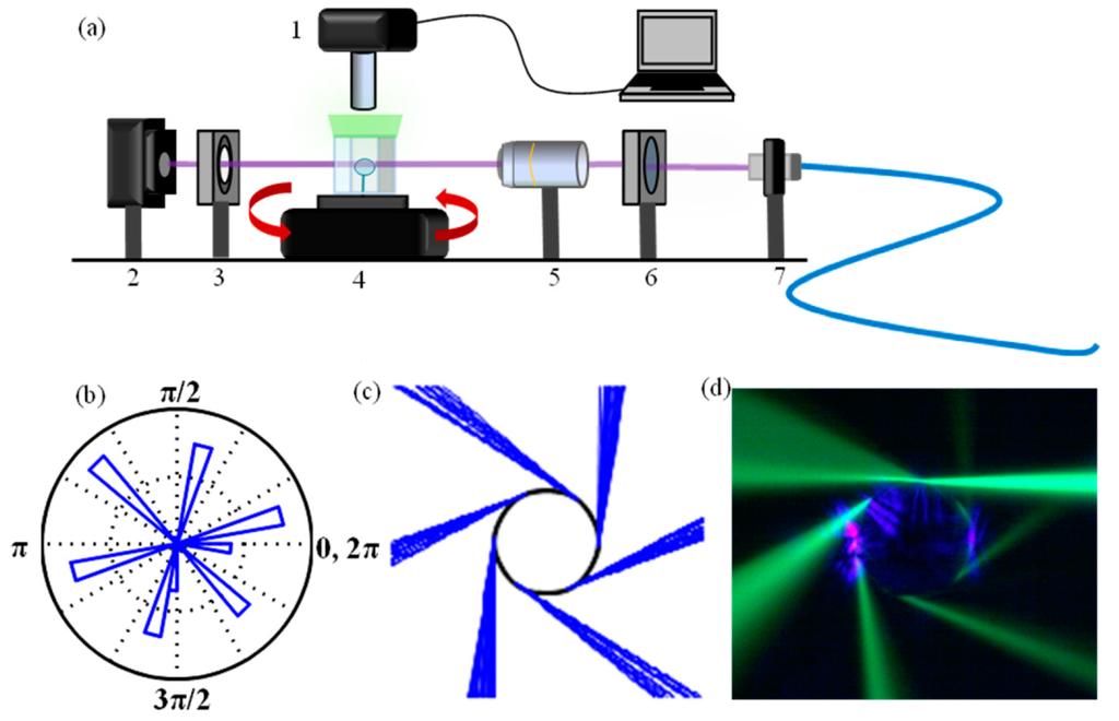 Biosensing by WGM Microspherical Resonators