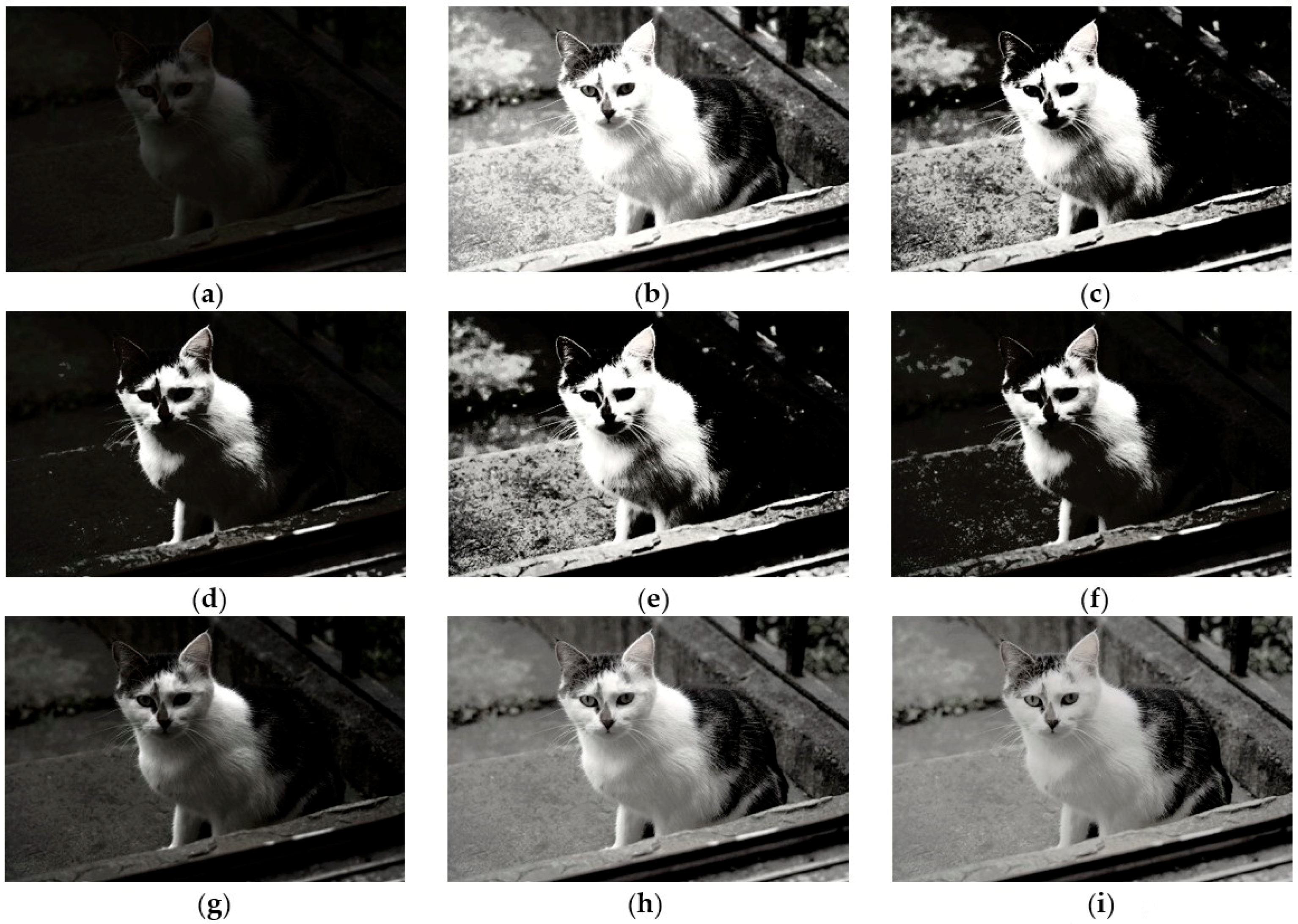 Sensors | Free Full-Text | Contrast Enhancement Algorithm Based on Gap Adjustment for Histogram ...