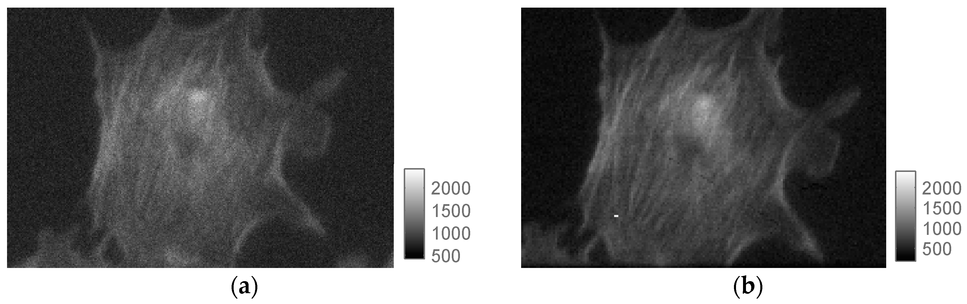 Photon-Counting Arrays for Time-Resolved Imaging
