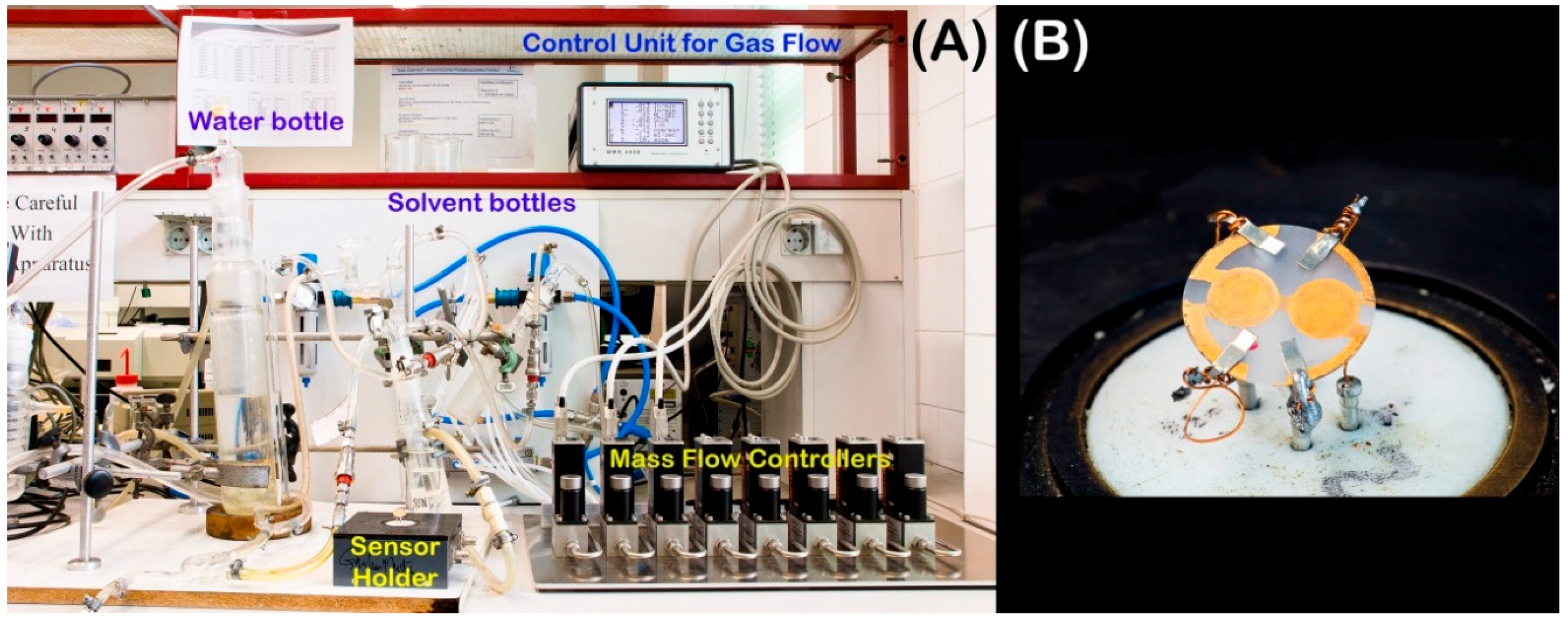 Molecularly Imprinted Polymer Nanoparticles for Formaldehyde Sensing ...