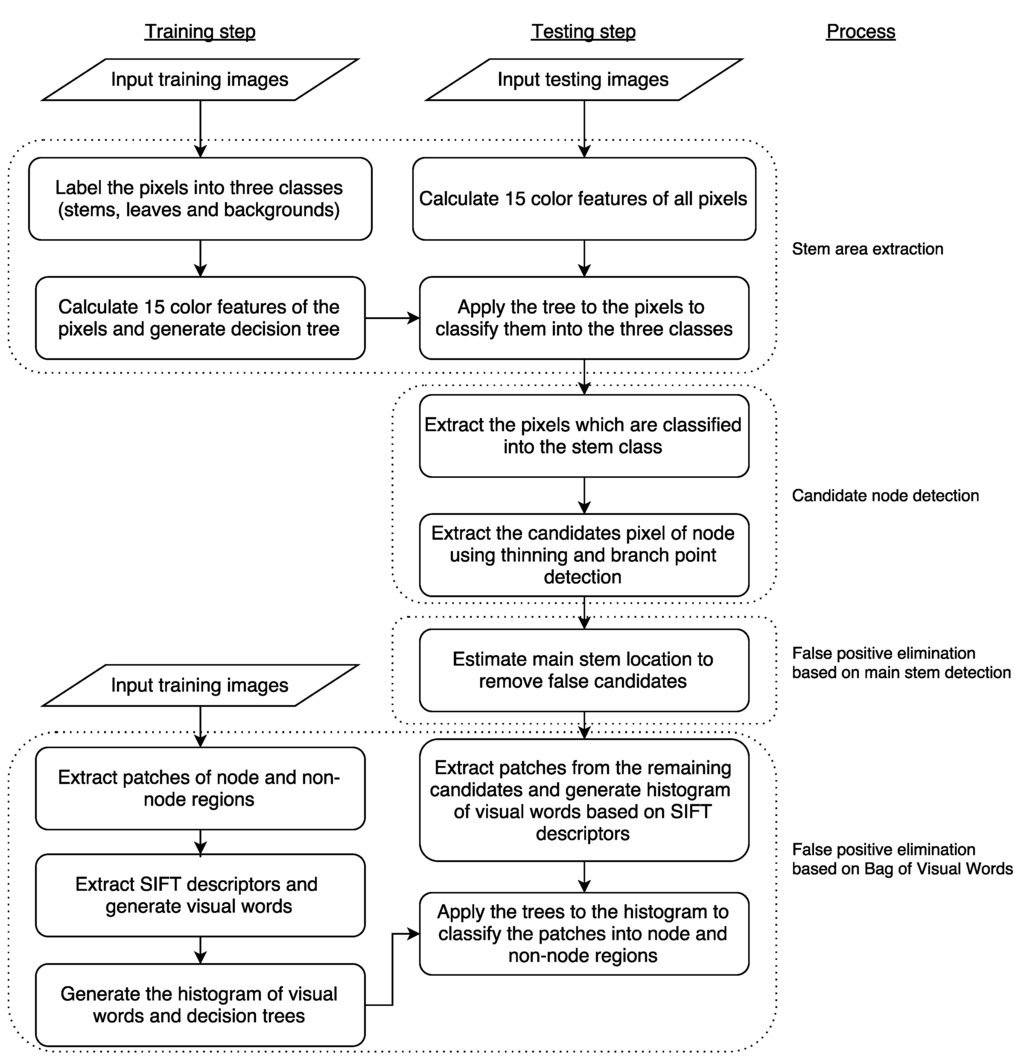 Node Detection and Internode Length Estimation of Tomato Seedlings Based on Image Analysis and ...
