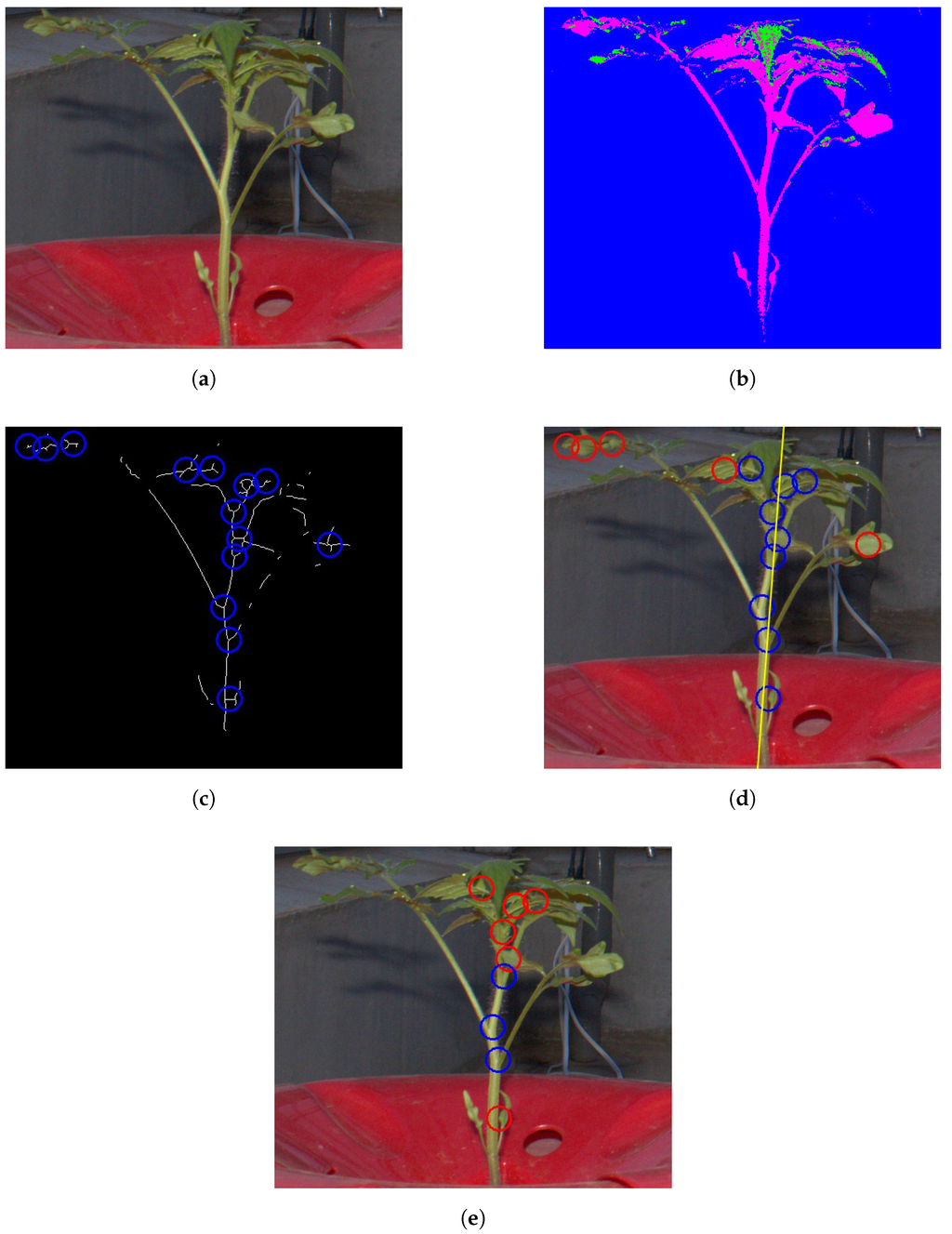 Node Detection and Internode Length Estimation of Tomato Seedlings Based on Image Analysis and ...