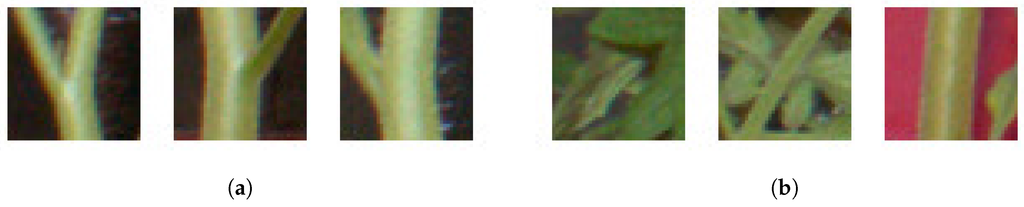 Node Detection and Internode Length Estimation of Tomato Seedlings Based on Image Analysis and ...