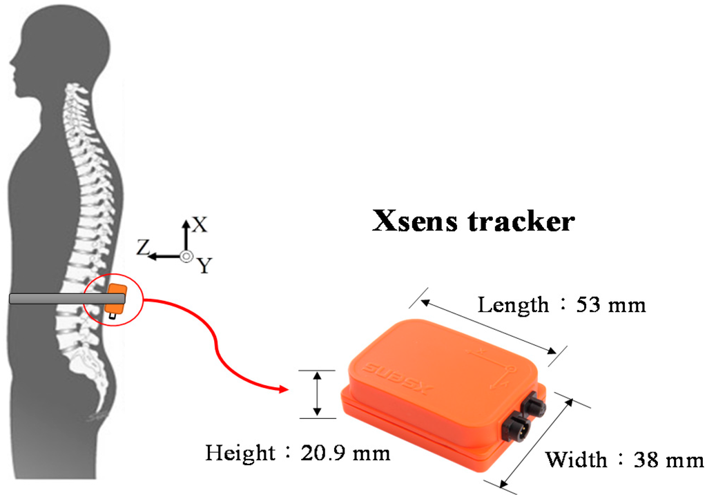 Stair-Walking Performance in Adolescents with Intellectual Disabilities