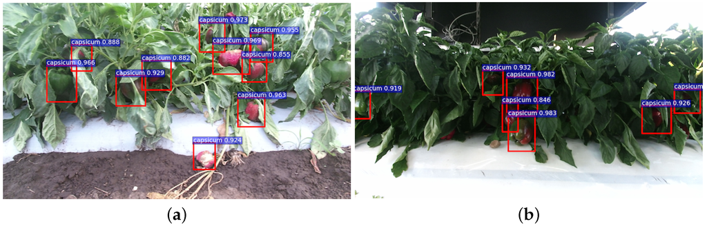 DeepFruits: A Fruit Detection System Using Deep Neural Networks