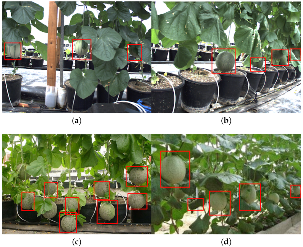 DeepFruits: A Fruit Detection System Using Deep Neural Networks