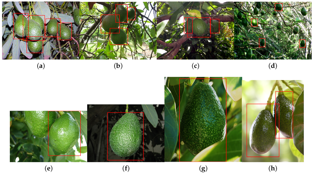 DeepFruits: A Fruit Detection System Using Deep Neural Networks