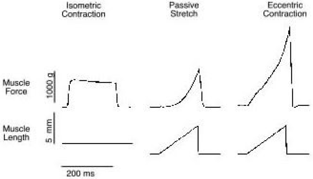 Isometric Contraction Graph